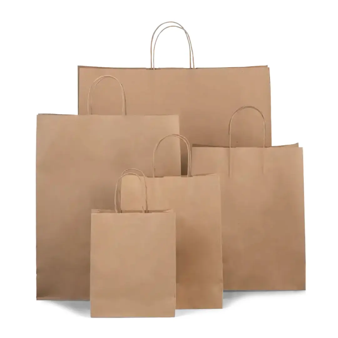 Kraft Twist Paper Carrier Bags | Rocaba Packaging